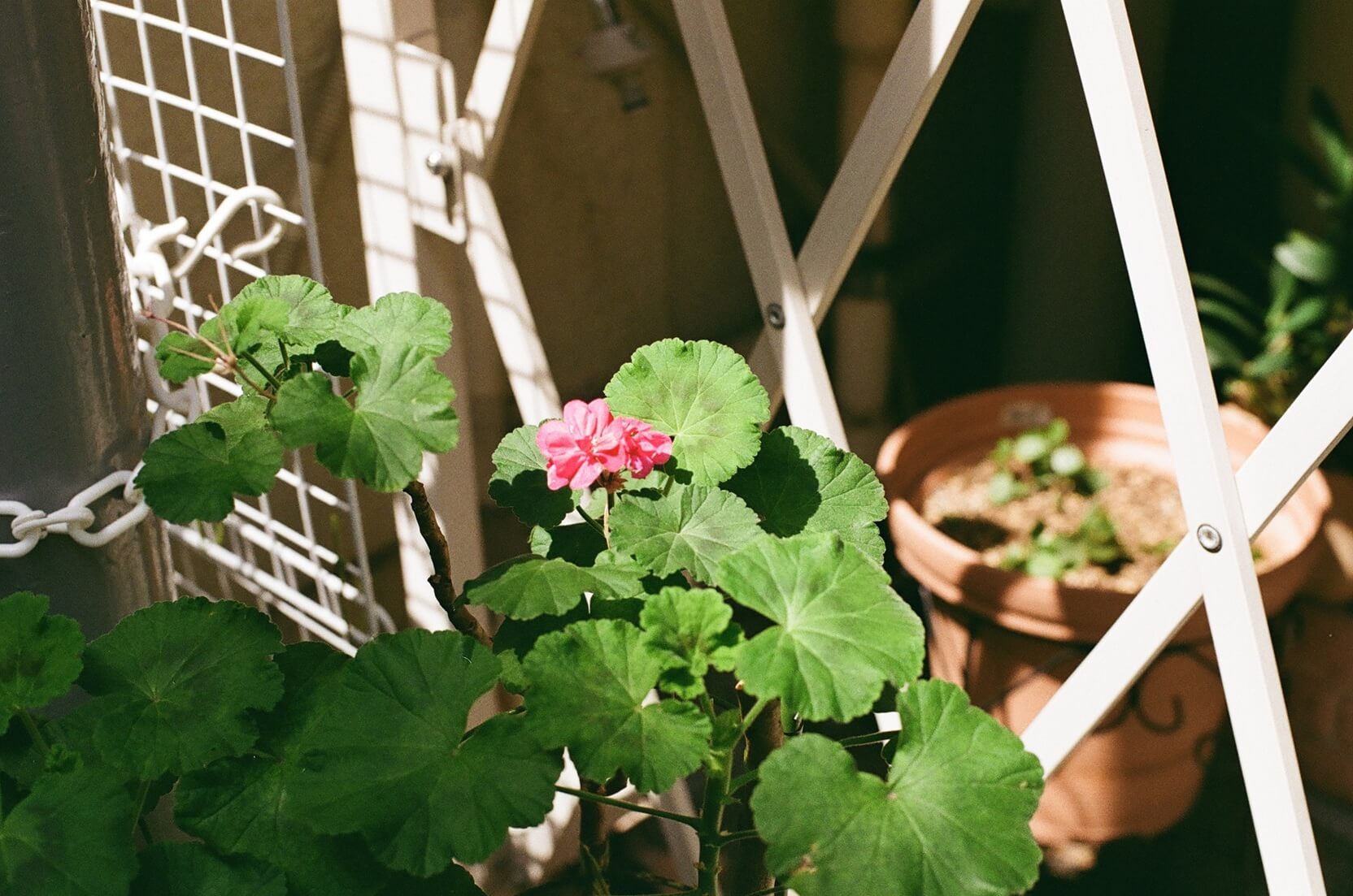 【lyrical school・hanaの“スキ”は細部に宿る】第18回 野外フェス | Mikiki by TOWER RECORDS